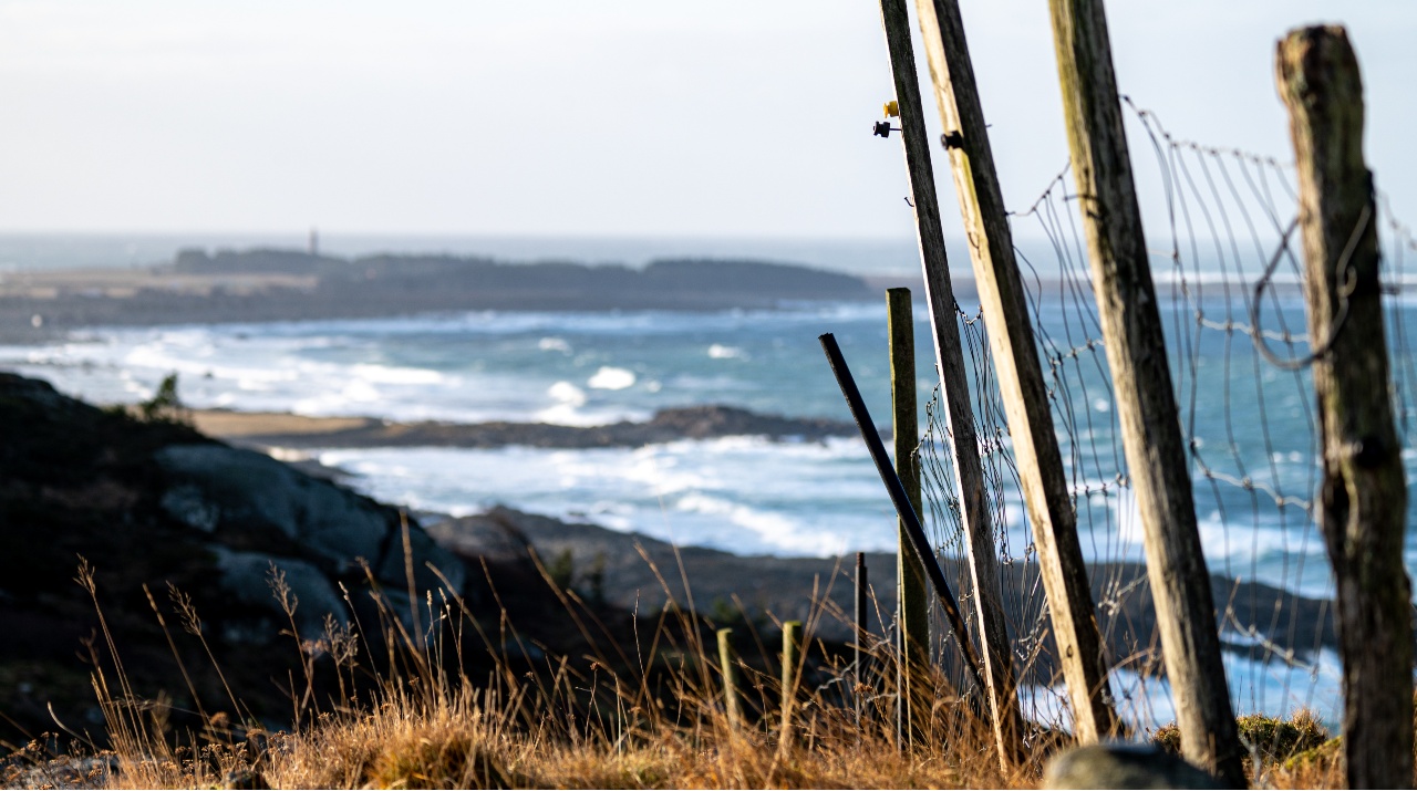 RAD Data Communications | Partners